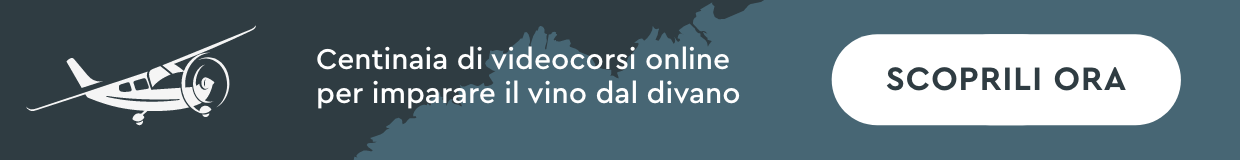 Vendita Vini Online: la Tua Enoteca Tannico.it